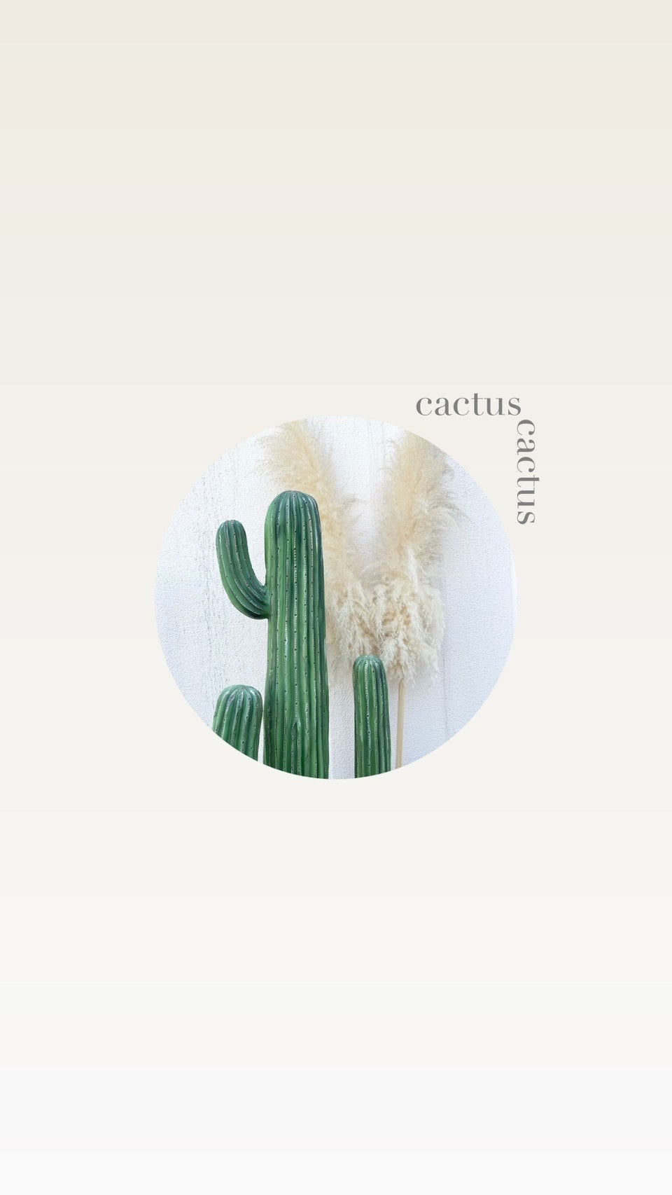 Cactus object – Chipieee